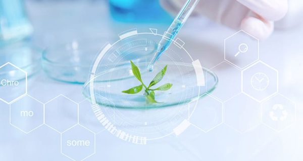 Discover the Advanced Science of Particle Face Cream