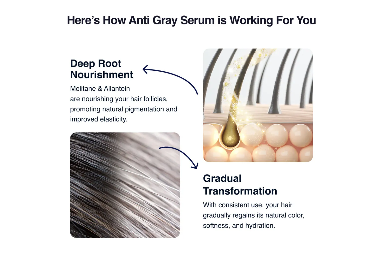 How to Use Anti-Gray Serum | Complete Particle Guide